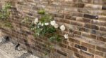 trellis1 – GS Products Blog