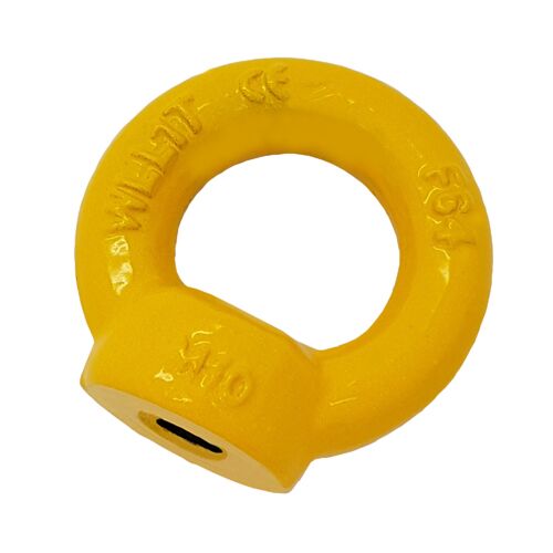 M20 Grade 80 High Tensile Lifting Eye Nut | 20mm Eye Nuts