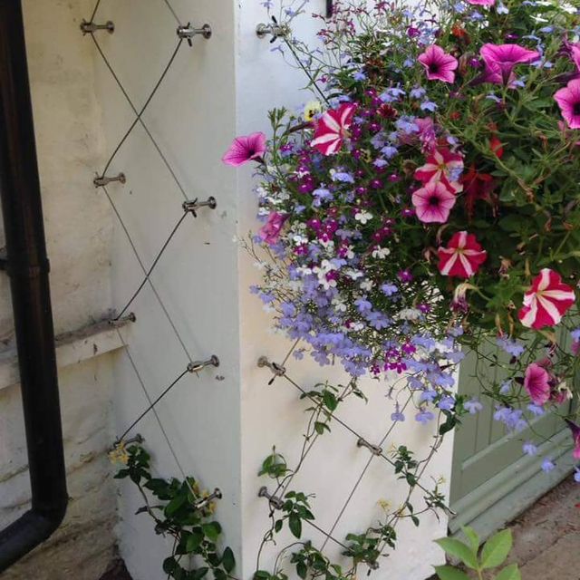 Steel Wire Rope Green Wall Trellis System | Sun Sail Shade fittings ...