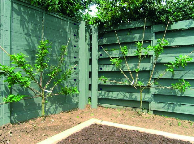 Steel Wire Rope Green Wall Trellis System | Sun Sail Shade fittings ...