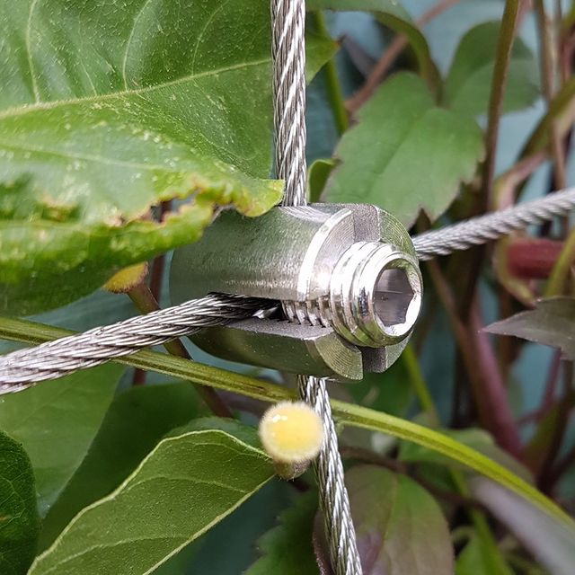 Steel Wire Rope Green Wall Trellis System | Sun Sail Shade fittings ...